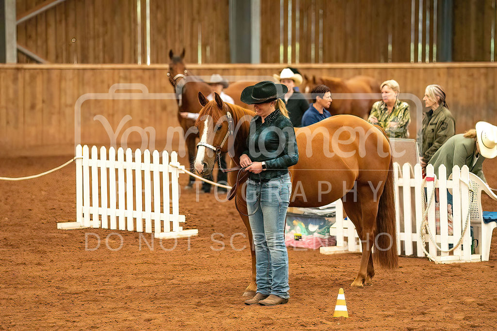 Contacts - International Society of Equine Locomotor Pathology